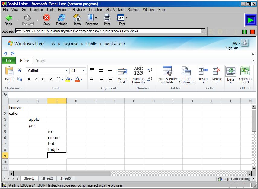 eValid -- Microsoft SkyDrive EXCEL "Input Data" Example #7